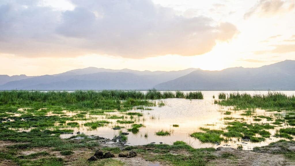 Lake Jipe – Wildlife, How To Get There & More – Here Goes Kenya